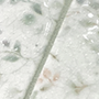 Lucy Floweret Embossed Gloss Decor Wall Tiles | Walls and Floors